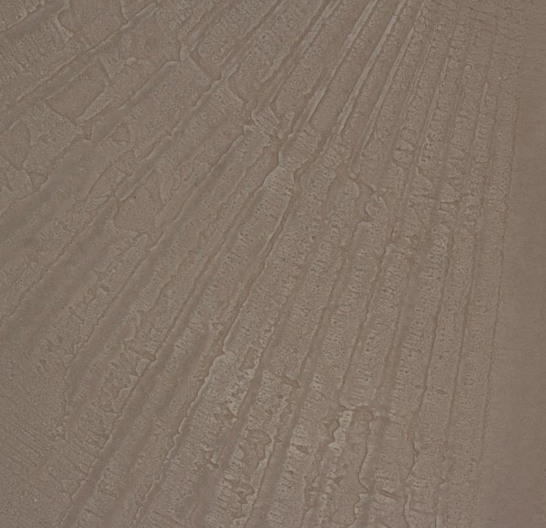 Ammonite Wallpaper – Goodrich Global