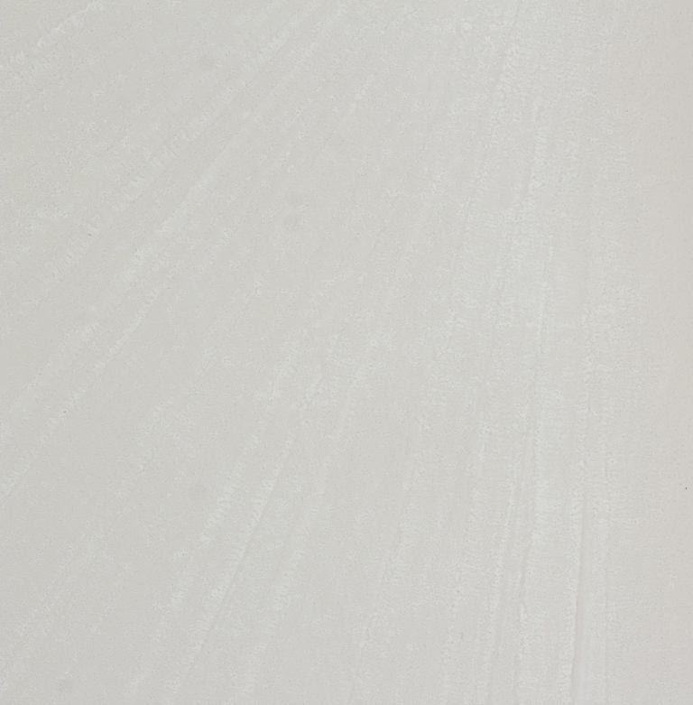 Ammonite Wallpaper – Goodrich Global